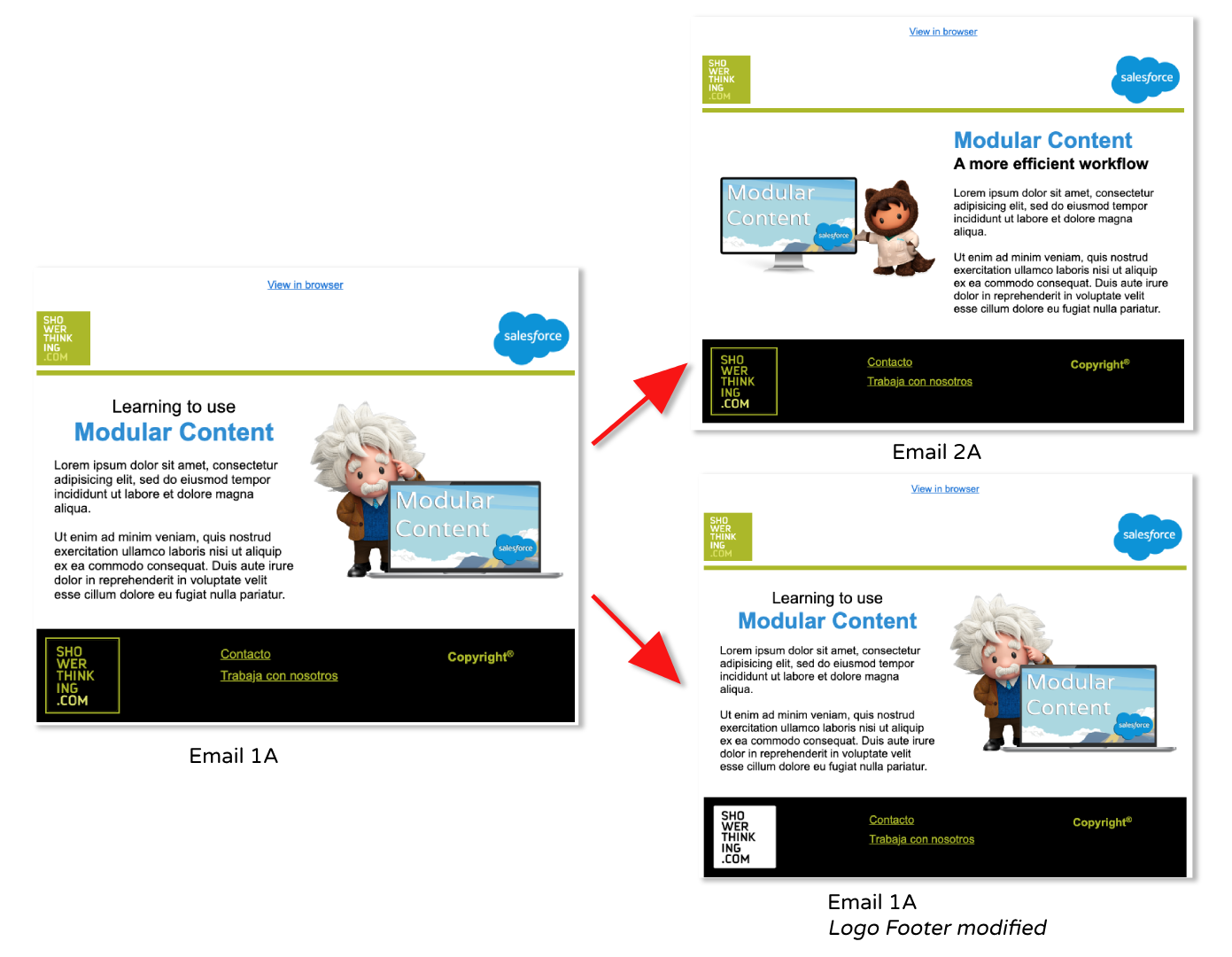 Modular Content in Salesforce Marketing Cloud | ShowerThinking